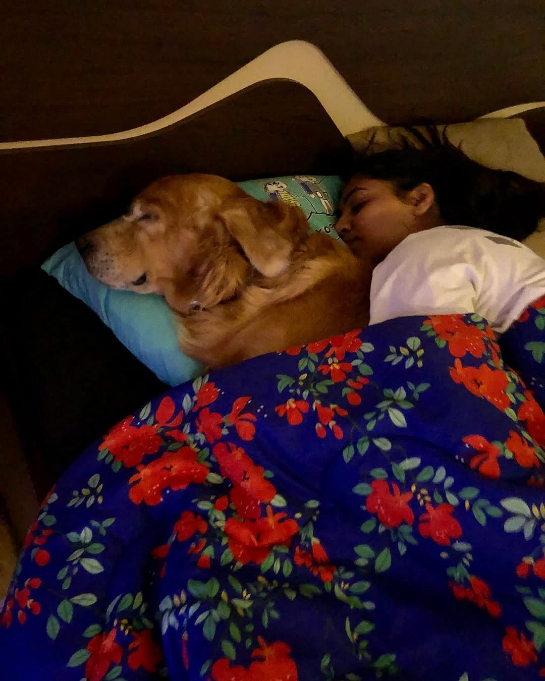 ಅಗಲಿದ ಶ್ವಾನ | BEST BOY EVER..ನಟಿ ಸಪ್ತಮಿ ಗೌಡ ಭಾವುಕ ಪೋಸ್ಟ್‌