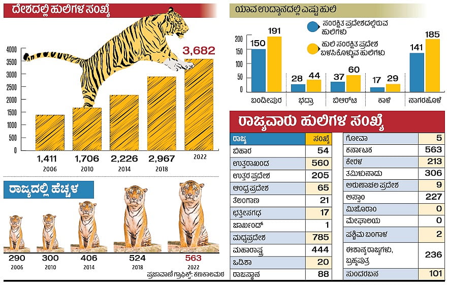 Tiger Census | ಕರ್ನಾಟಕದಲ್ಲಿ 563 ಹುಲಿಗಳು
