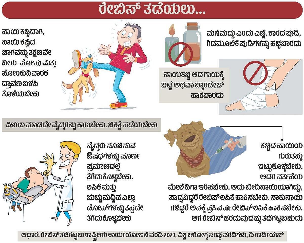 ಆಳ-ಅಗಲ | World Rabies Day: ರೇಬಿಸ್‌ ನಿರ್ಮೂಲನೆಗೆ ಬೇಕು ಇಚ್ಛಾಶಕ್ತಿ
